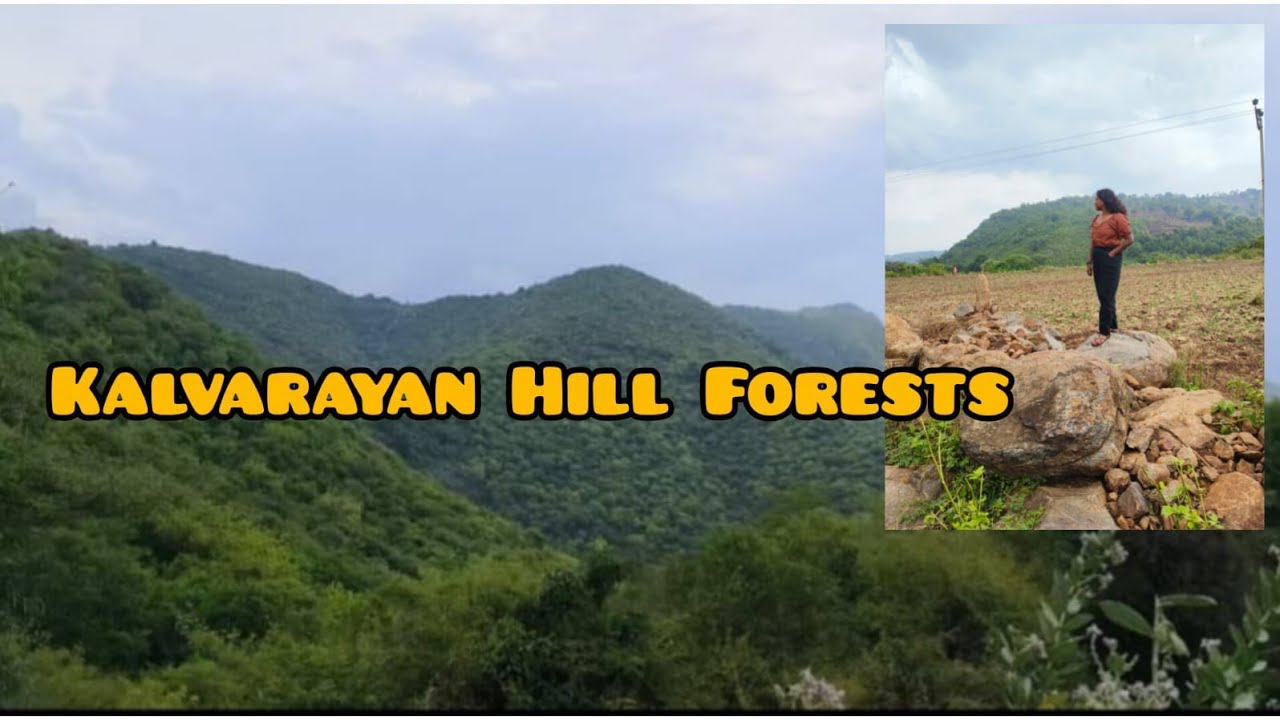 kalvarayan hill\ vellimalai 💚 Tourist places. #travelvlog #hillstation ...
