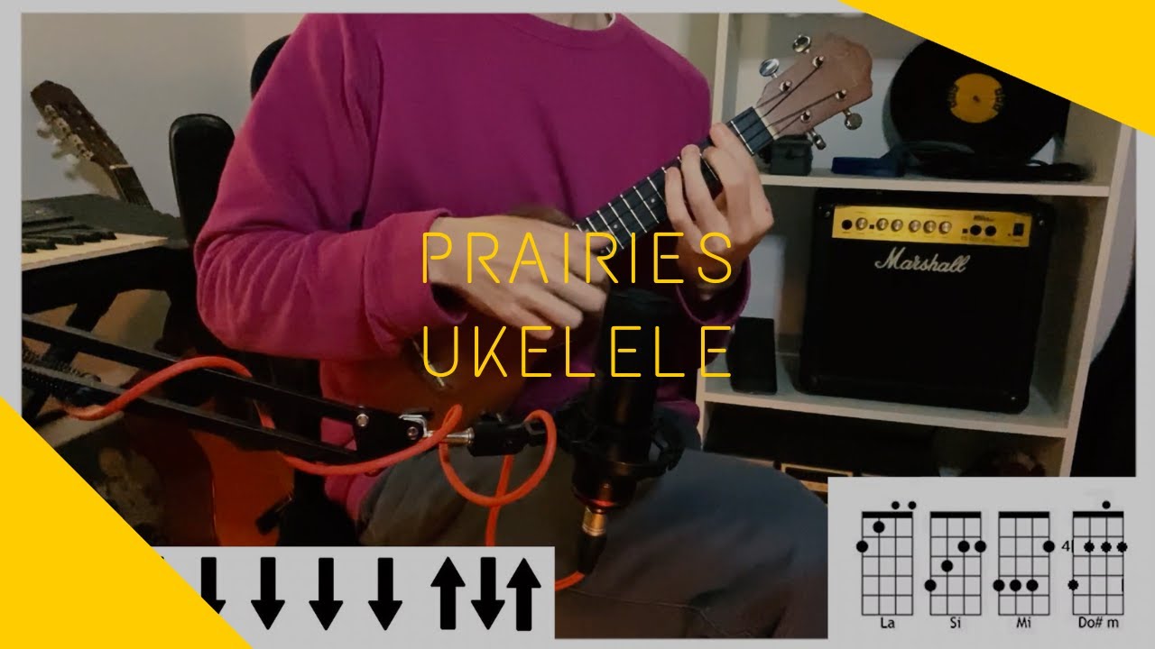 UKELELE | Prairies - BoyWithUke ( cover/tutorial) Martin Lopez - YouTube