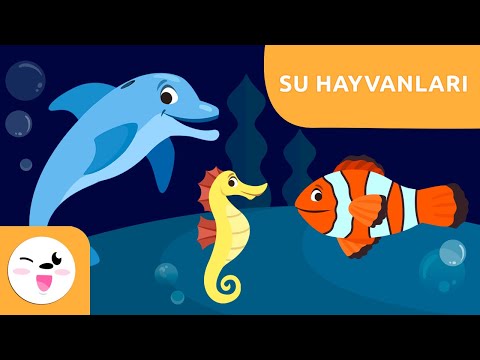 Çocuklar için su hayvanları - Çocukların kelime hazneleri için