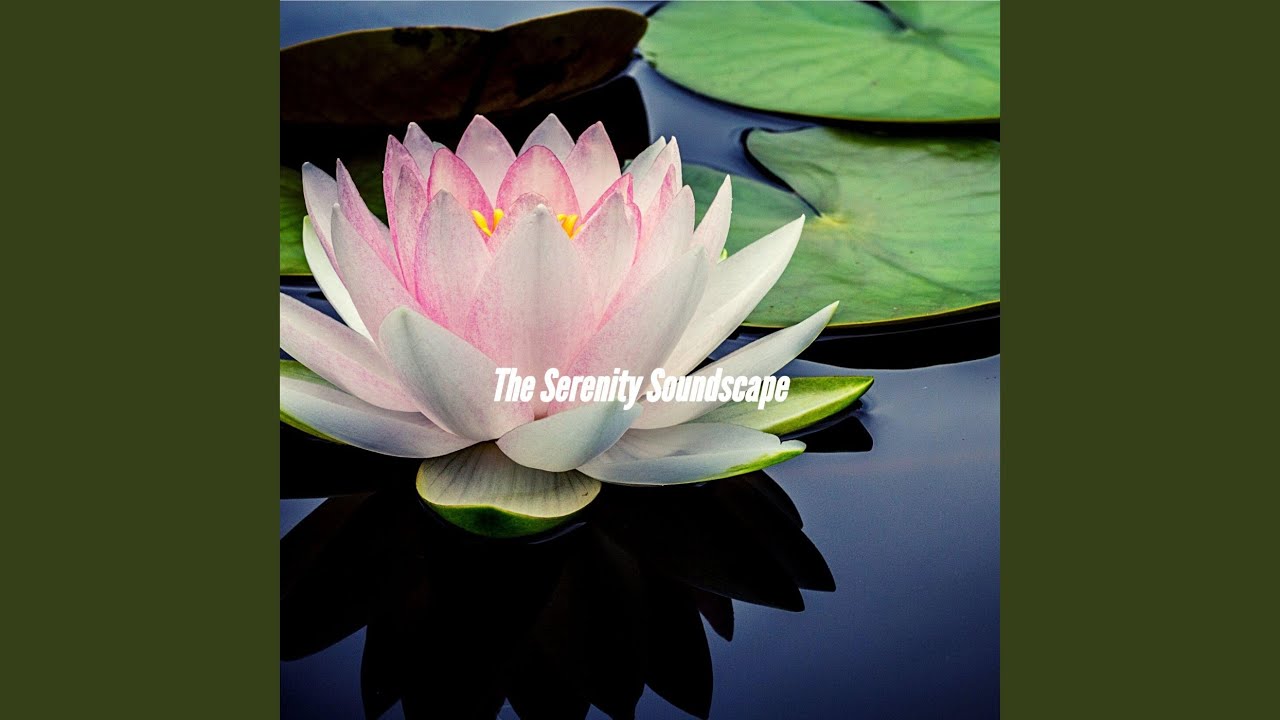 Amazing Backdrops for Abstract Moods - YouTube