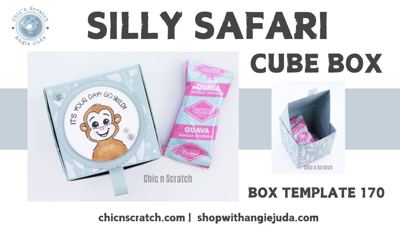 Silly Safari Cube Box - YouTube