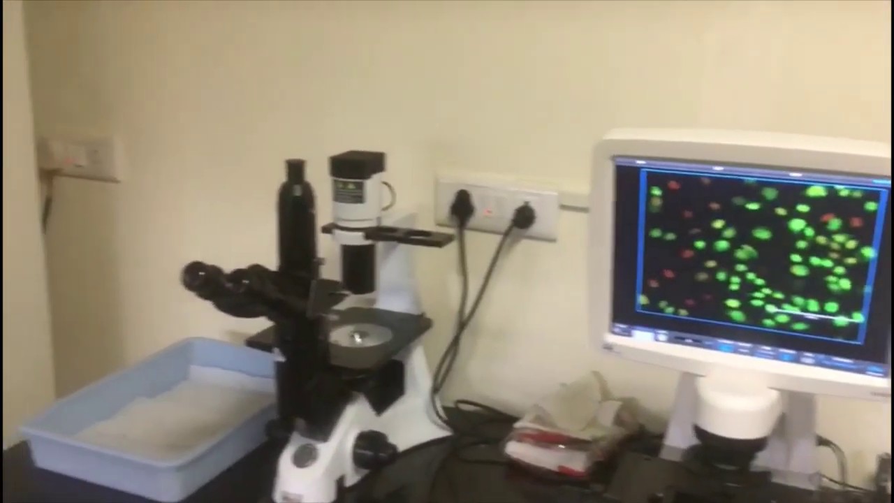 Avanz Bio Pvt Ltd - YouTube