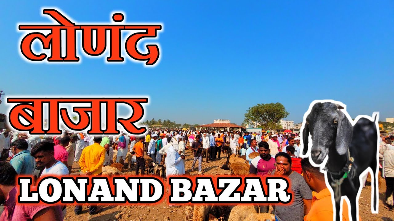 @KADAMAGRO lonand goat market | लोणंद शेळी बाजार केंद्र | - YouTube