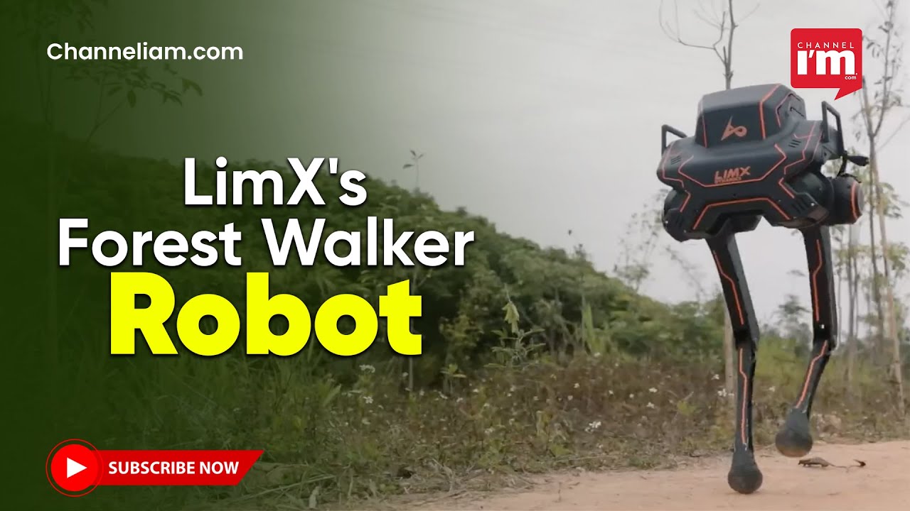 LimX Dynamics Unveils Bipedal Robot's Locomotion Skills in Forest ...