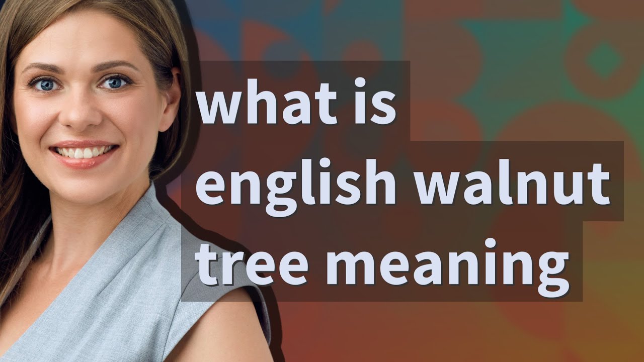 English walnut tree | meaning of English walnut tree - YouTube