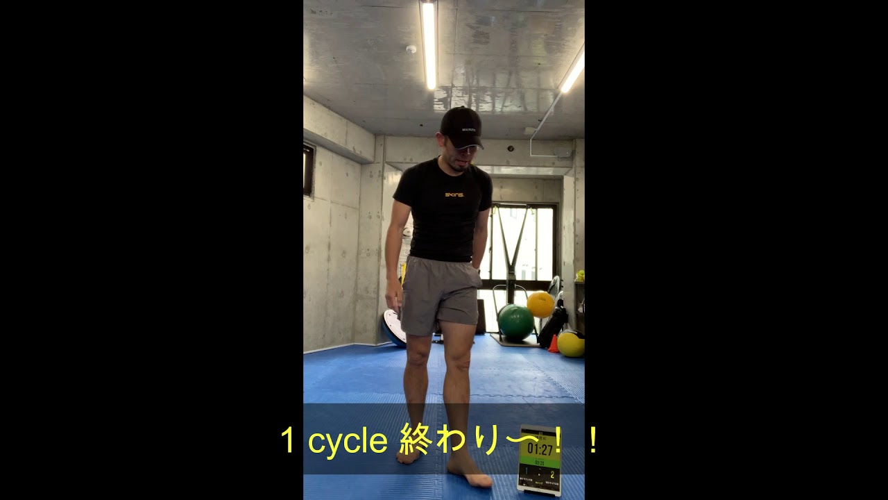 animal circuit - YouTube