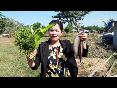 Village Food Factory - Beautiful Girl cooking Cambodian food - Amazing street food(part 09)
