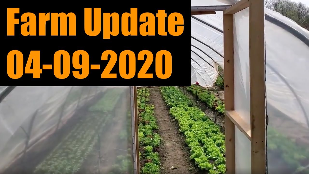 Farm Update 04-09-2020 - YouTube