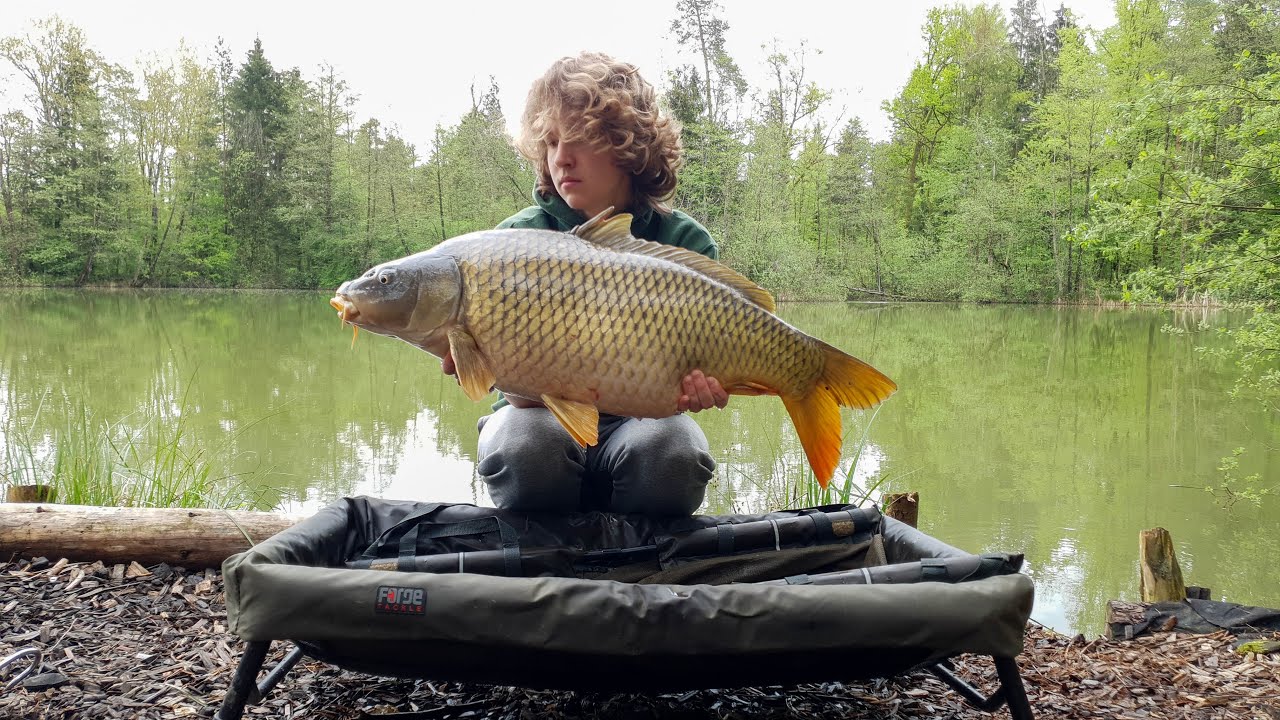 RIBNIK PLASTENKA - Kar dve ribi čez 10kg! - YouTube