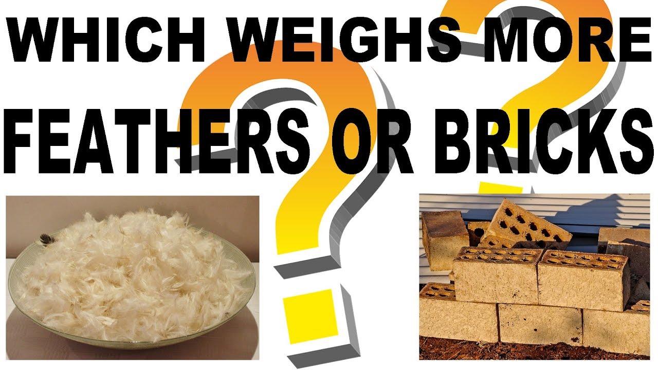 Which Weighs More, Feathers Or Bricks? - YouTube