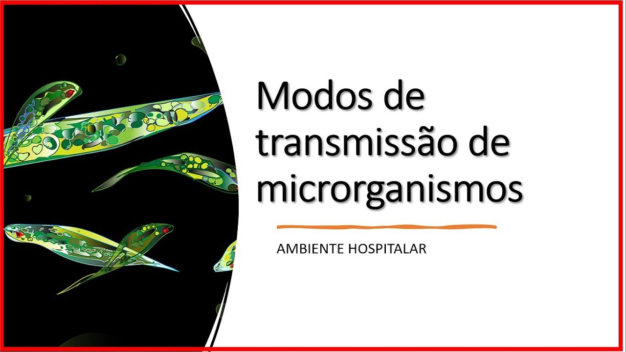 Descobrindo Os Microrganismos: Tipos E Funções. – QIZR