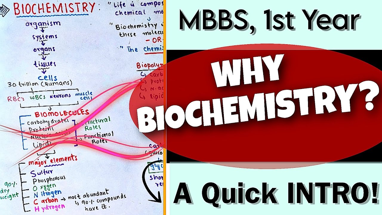 Biochemistry | Introduction to Biochemistry | 1st year MBBS, What is ...