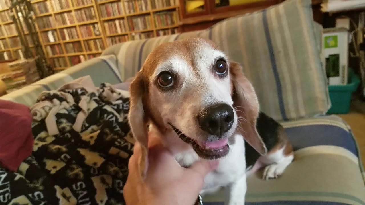 The Snoot Challenge . . . Gretchen fails - YouTube