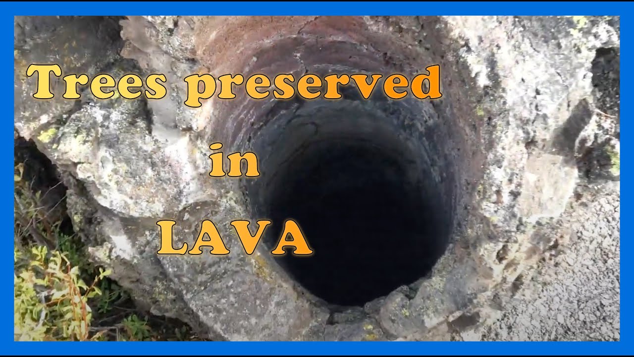 An Ancient Forest Preserved in Lava: Newberry’s Lava Cast Forest - YouTube