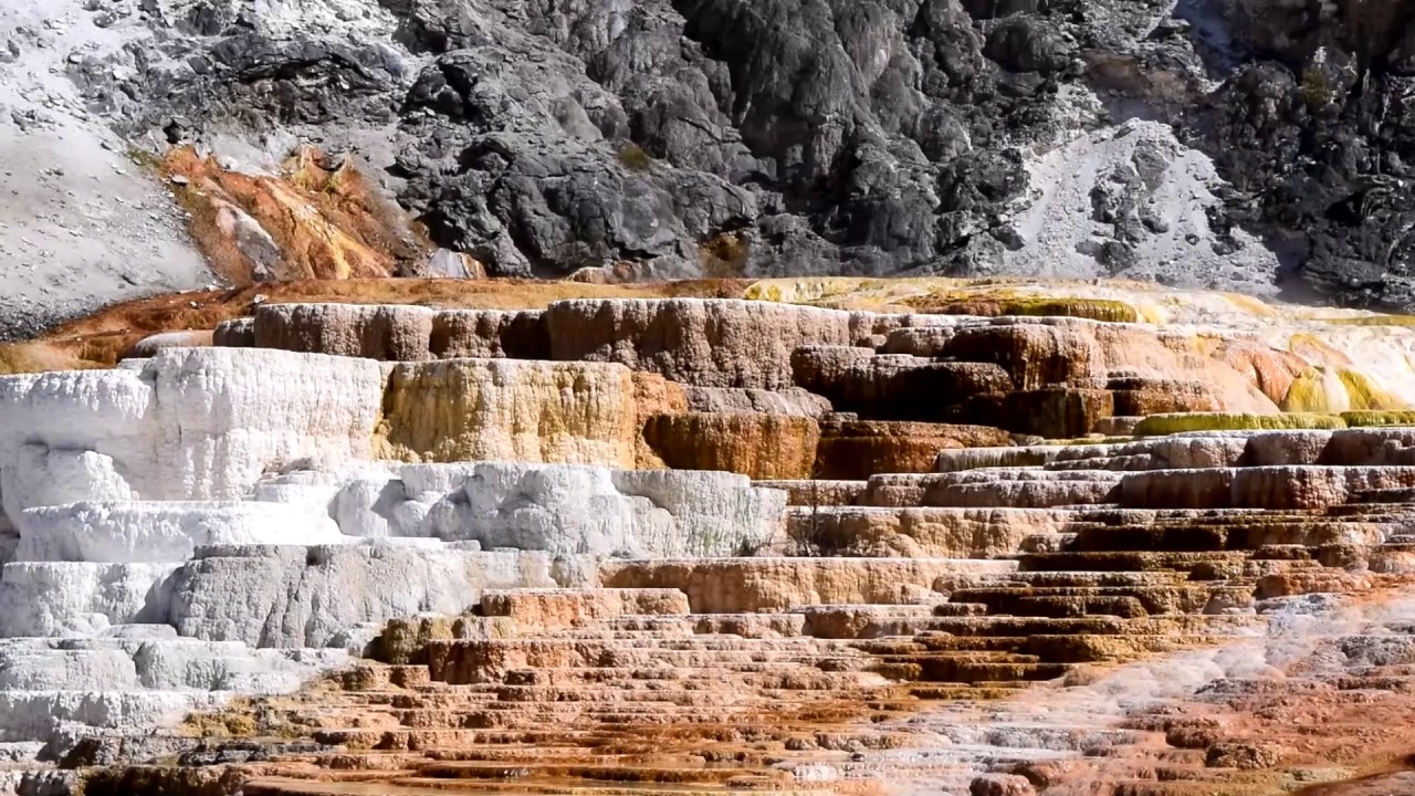 Palette Spring Vid 2, Mammoth Hot Springs, Yellowstone National Park ...