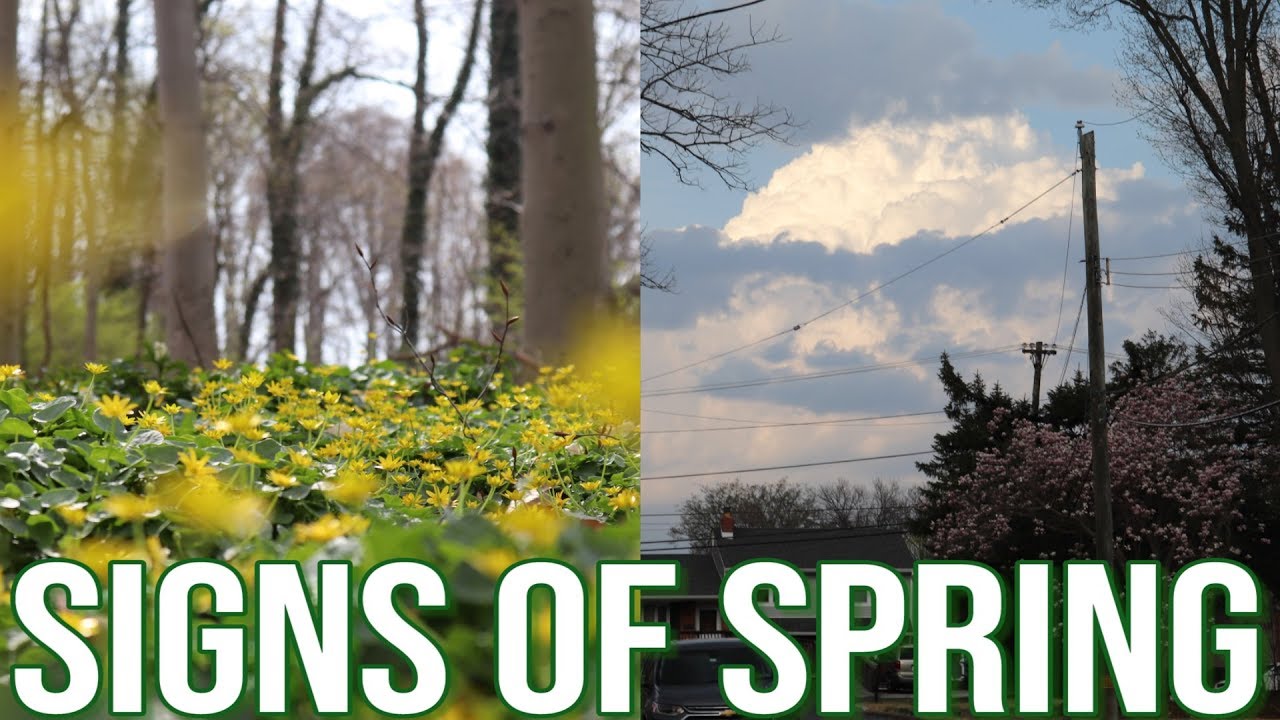 Signs of Spring - Short Film | March-April 2019 - YouTube