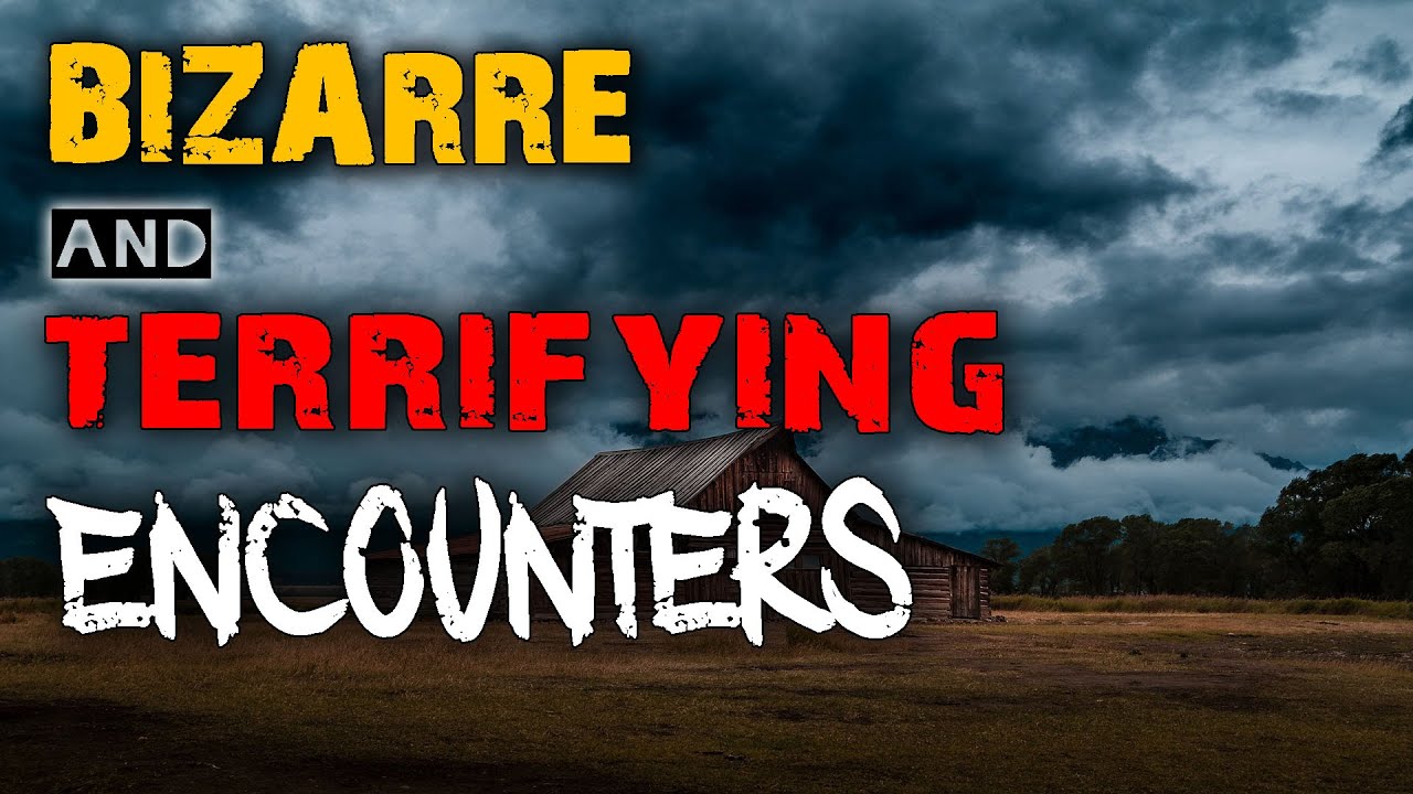 5 Super BIZARRE and TERRIFYING Encounters - YouTube