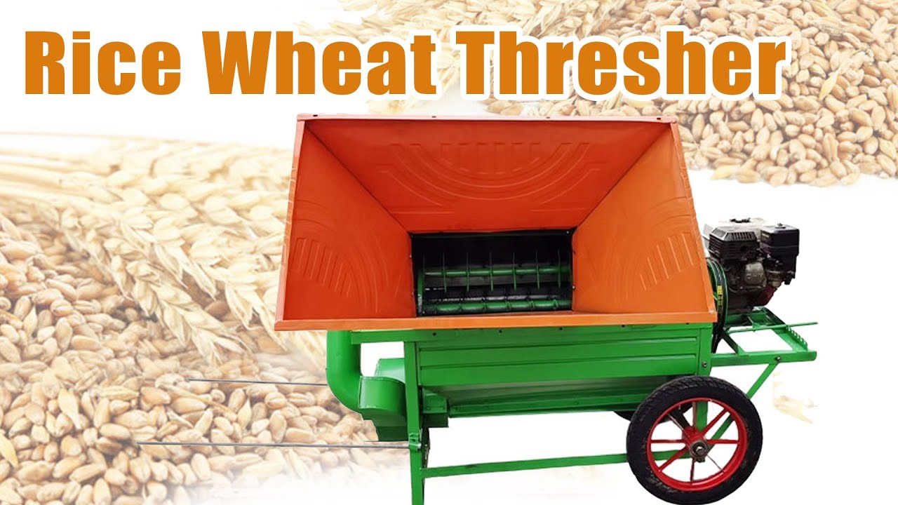 How a Rice Wheat Thresher Works – High-Speed Threshing in Action! #rice ...