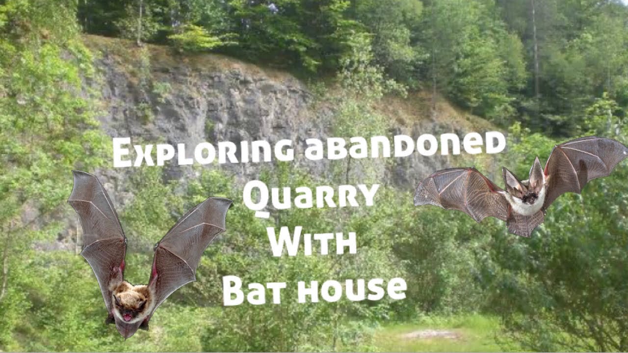 Exploring abandoned quarry (BAT HOUSE) - YouTube