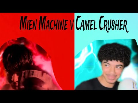 The Ultimate Boxing Showdown | Camel Crusher Power vs. Mien Machine ...