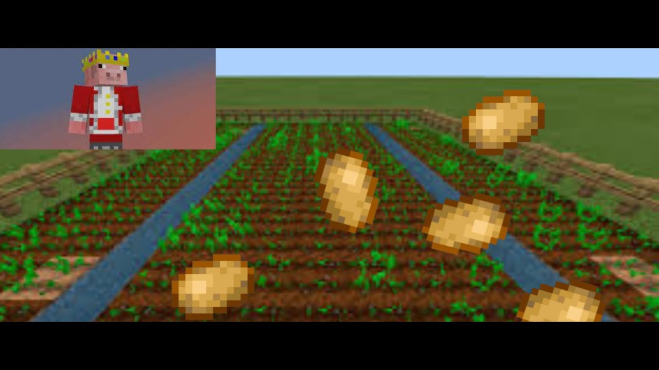 Making a potato farm for Technoblade - YouTube