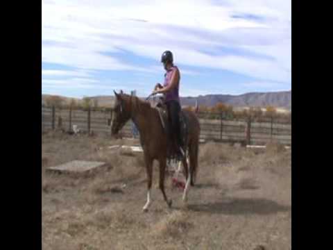 Razz at the river and doing trail obstacles - YouTube