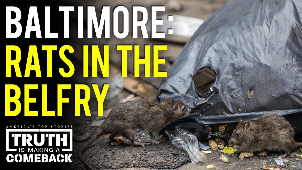 Baltimore: Rats in the Belfry - YouTube