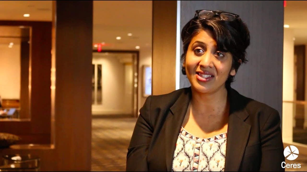 Program Director Veena Ramani on latest Ceres report, Systems Rule ...