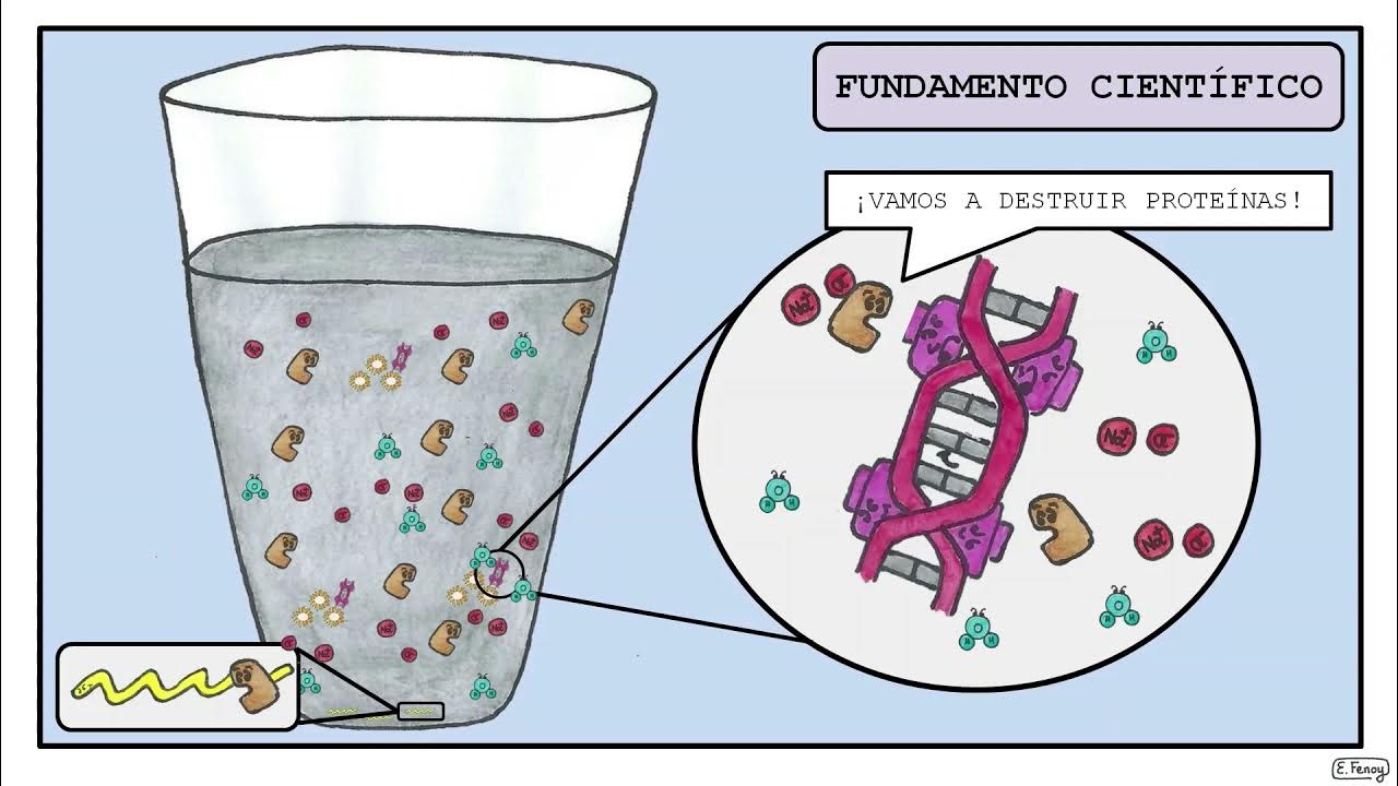 Práctica De Laboratorio Extracción Dna Adn Procedimiento Y