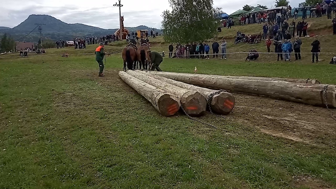 Morovno,Morovnianska podkova 2019,aj malé kone parádne poťiahnu. - YouTube