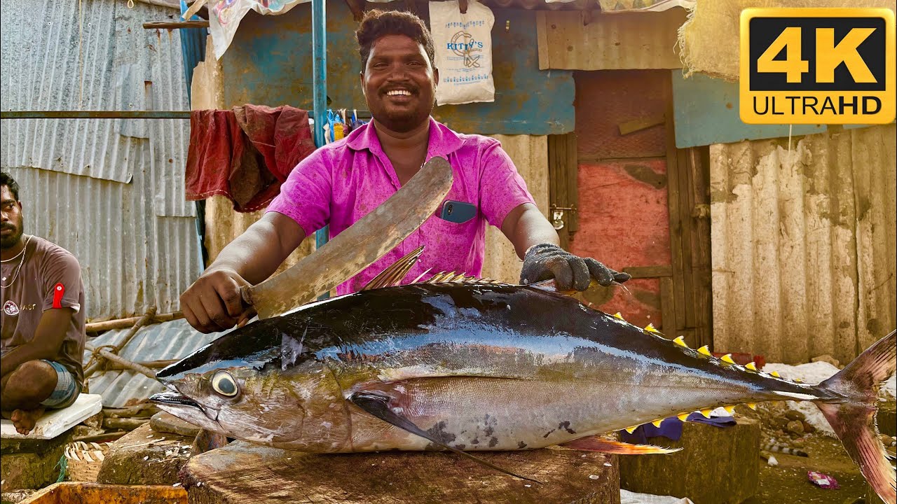 Kerai fish cutting video/Fishcuttingrs #fishcuttingrs #kasimedu #fish ...