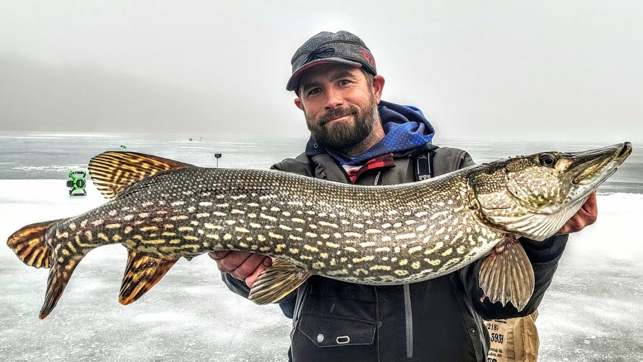 Chasing a Big Pike down and cooking fish!!!! - YouTube