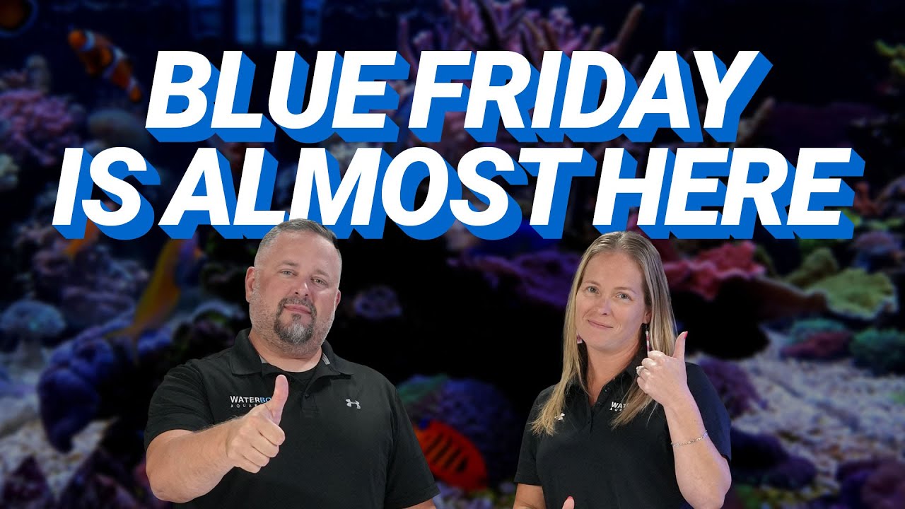 Blue Friday is almost here — and it’s time to get ready! 💙 - YouTube