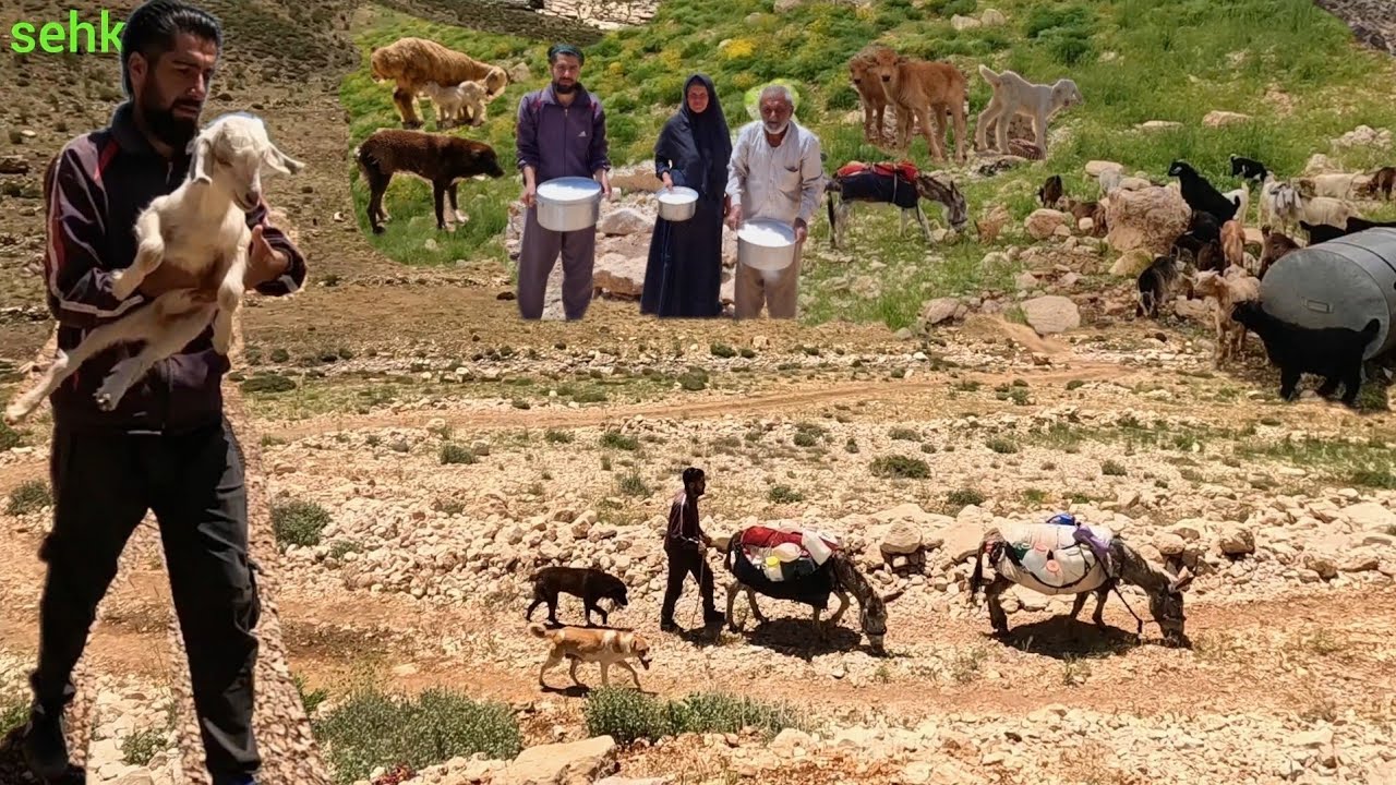 Hard Life of an Iranian Nomadic Family | Milking Goats & Fetching Water ...