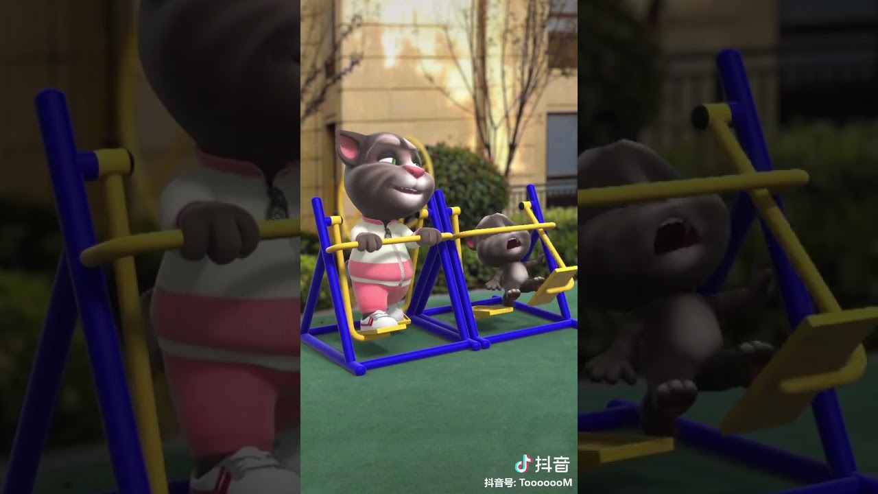 Mèo tôm tập thể dục - YouTube