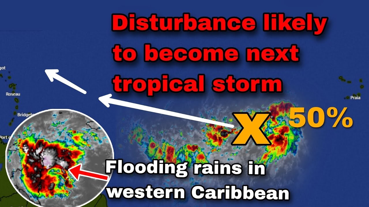 Next tropical storm likely from disturbance, tropical wave bringing ...
