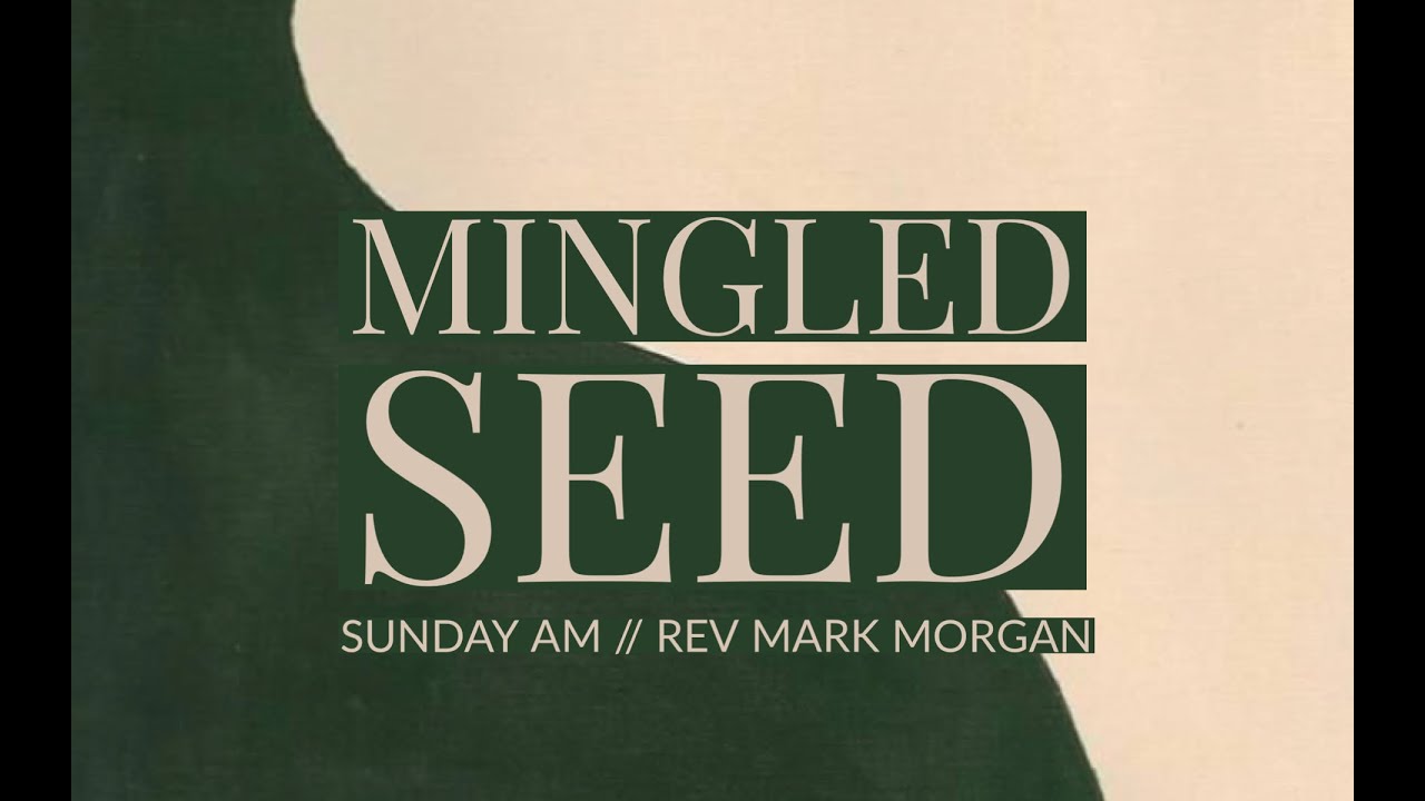 "Mingled Seed" - Bishop Mark Morgan 01/08/2023 - YouTube