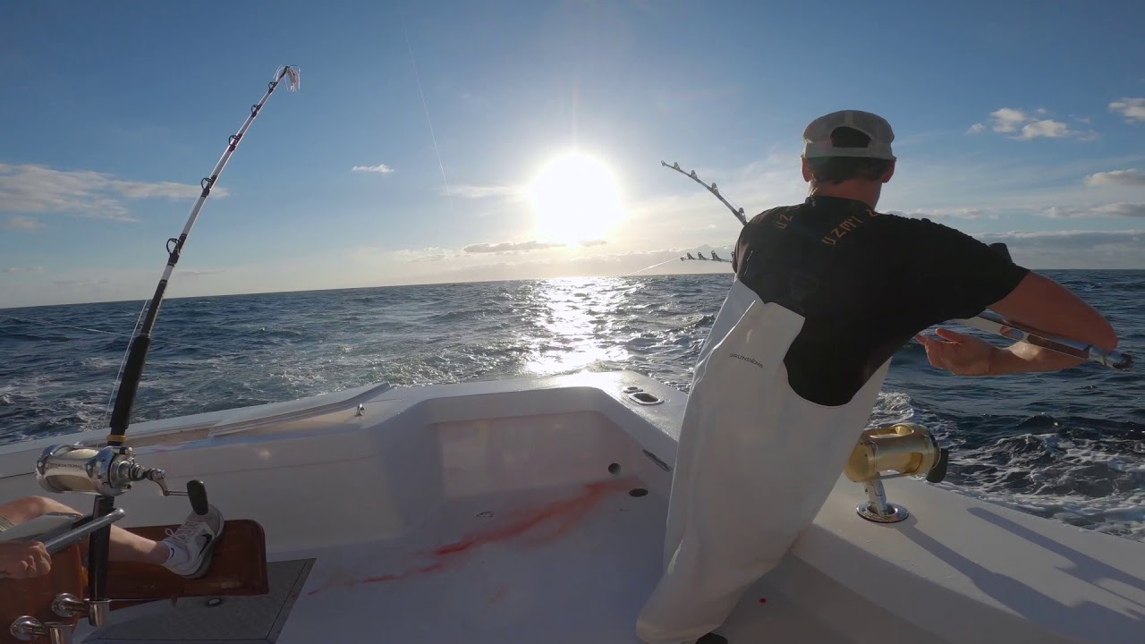 Point Runner OBX Fishing - YouTube