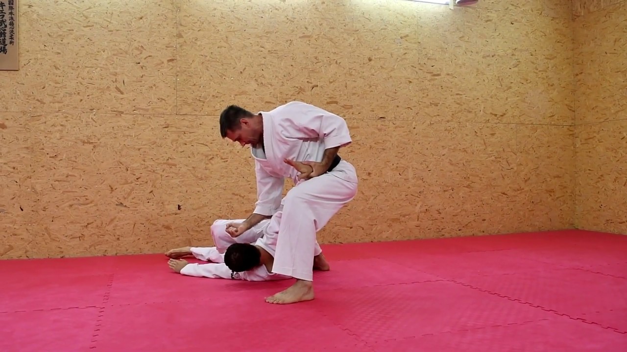 [Punches combination + ude osae, kote gaeshi, osoto gari/ Motoha Yoshin ...