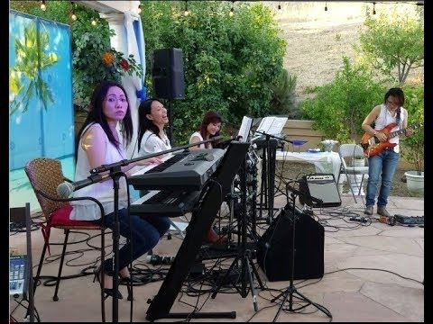 Cant Help Falling In Love - The Sake Band - YouTube