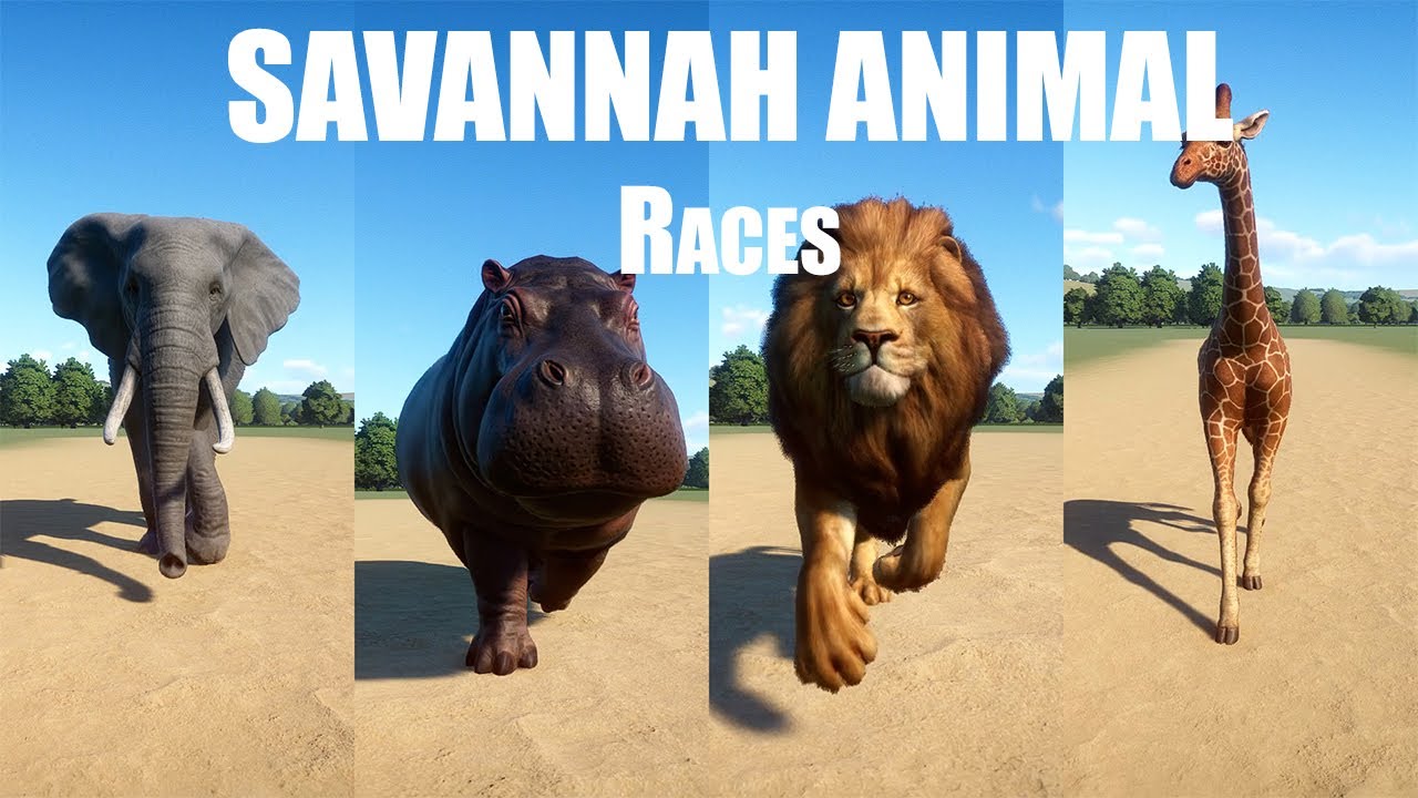 Savannah Animal Races in Planet Zoo included Lion, African elephant ...