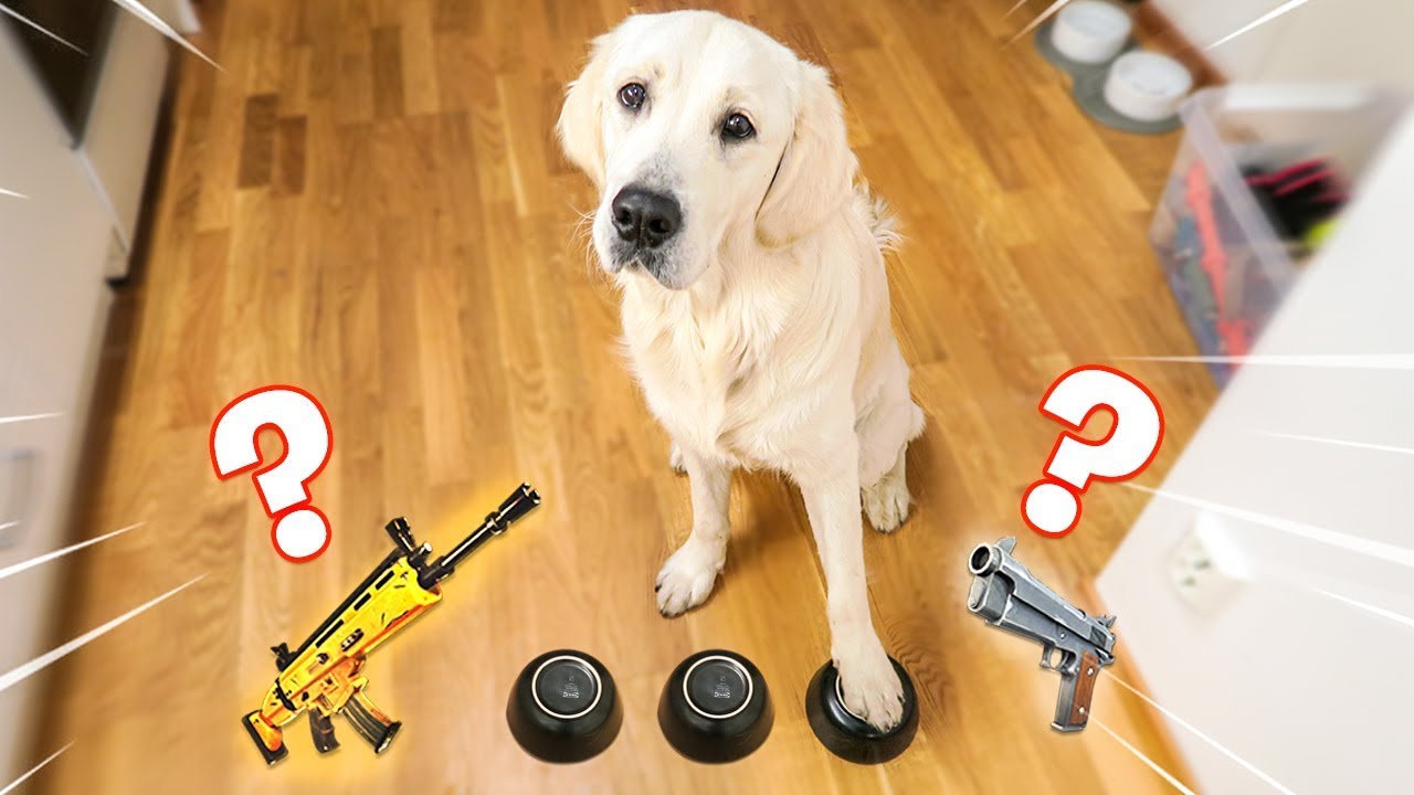 My DOG Picks My WEAPONS In Fortnite! - YouTube