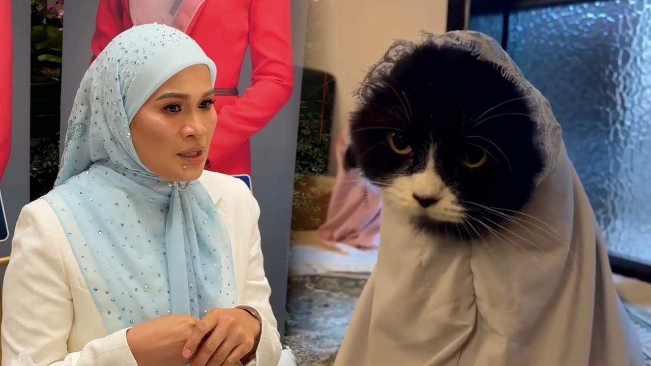 Untung kucing Haliza Maysuri, dapat kereta BMW & rantai emas - YouTube
