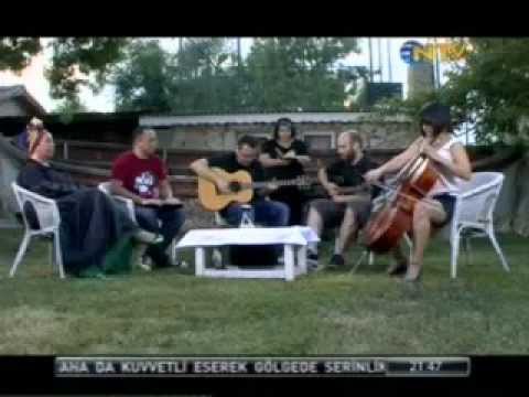 Serra'nın Dostları - Islak Köpek