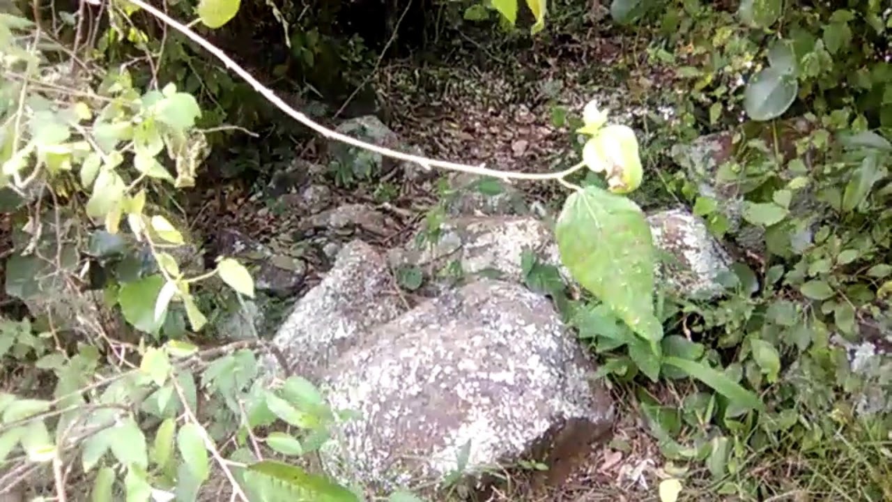 GOT RAMOGI NATURE WALK - YouTube