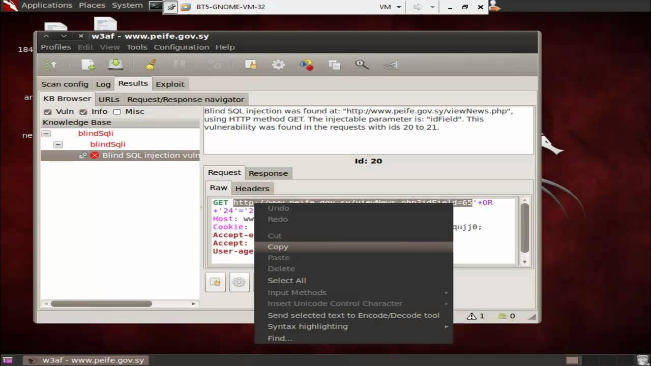 w3af exploit sqlmap - YouTube