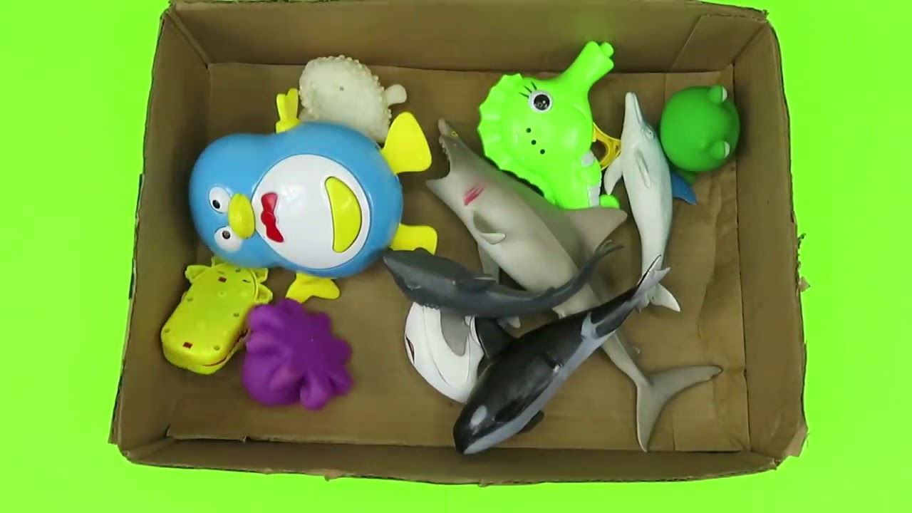 Box of Sea Animals Toys For Kids! - YouTube