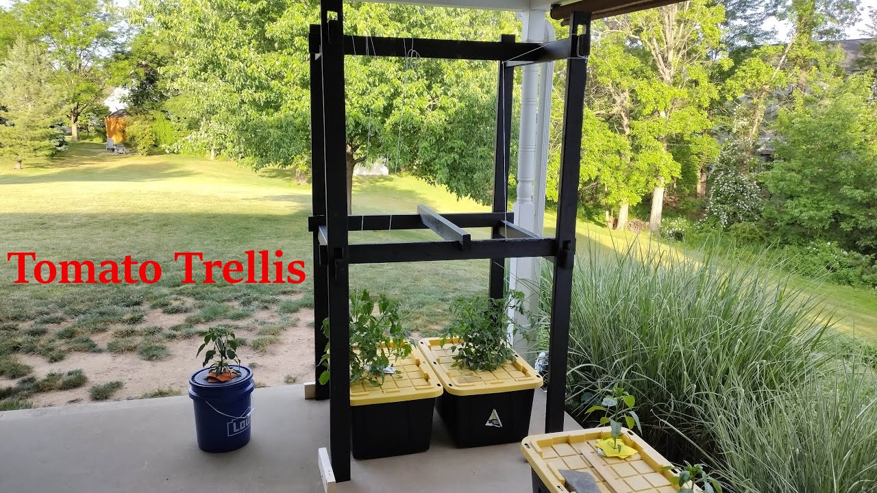 Tomato Trellis for Kratky Hydroponics - YouTube