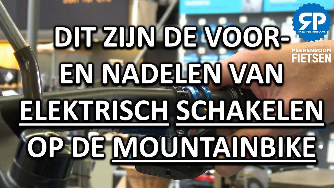 DIT ZIJN DE VOOR- EN NADELEN VAN ELEKTRISCH SCHAKELEN OP DE ...