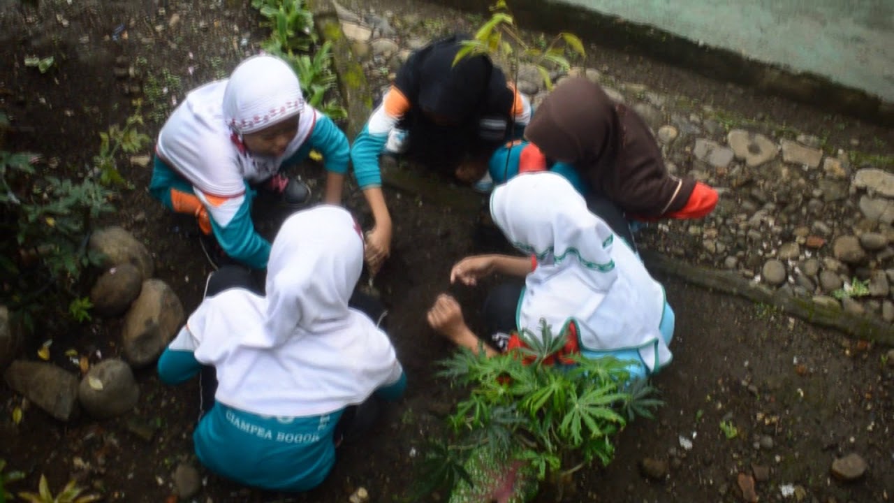 One Child One Tree | GERAKOMAN 2017 - YouTube